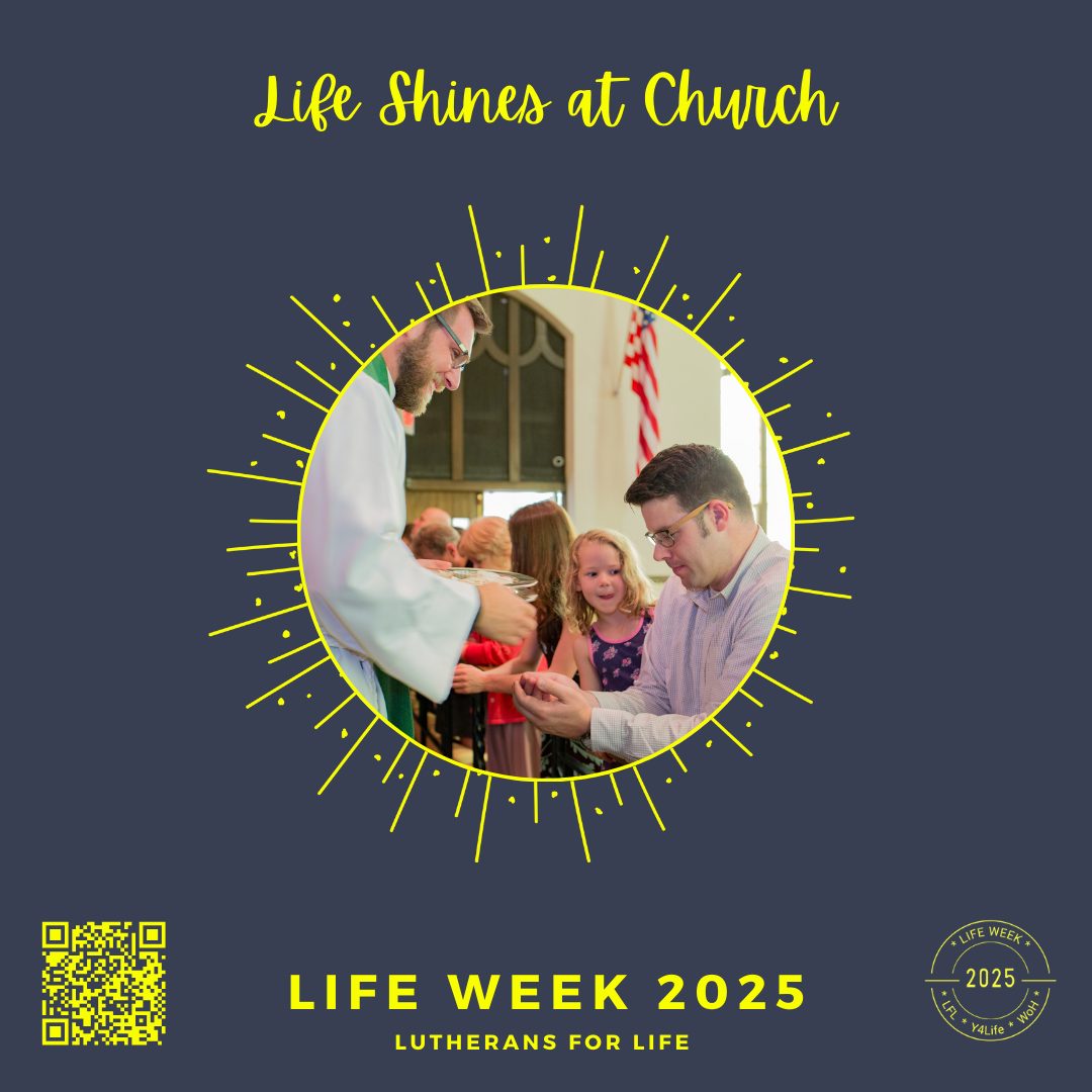 Life Week 2025 – Y4Life