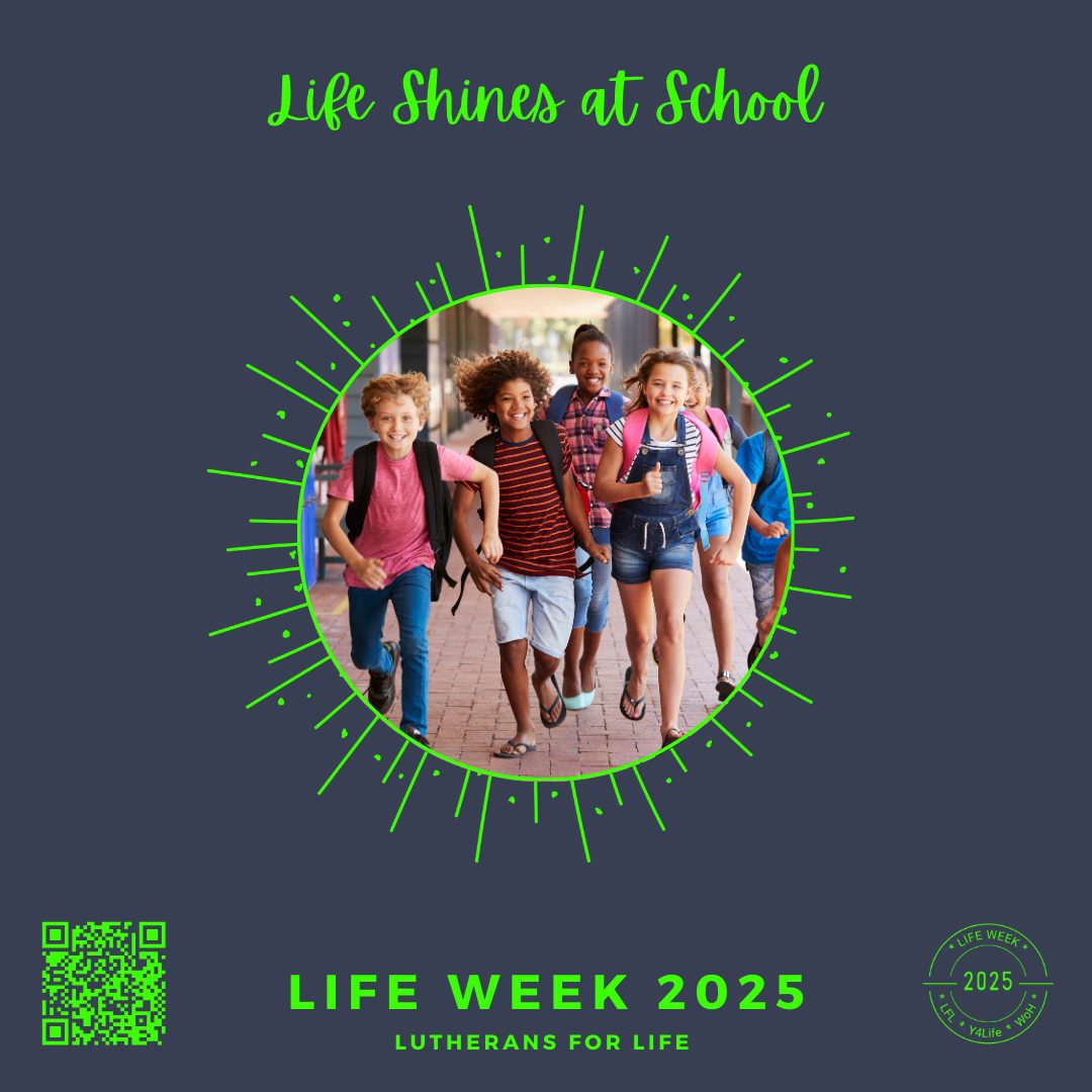 Life Week 2025 – Y4Life