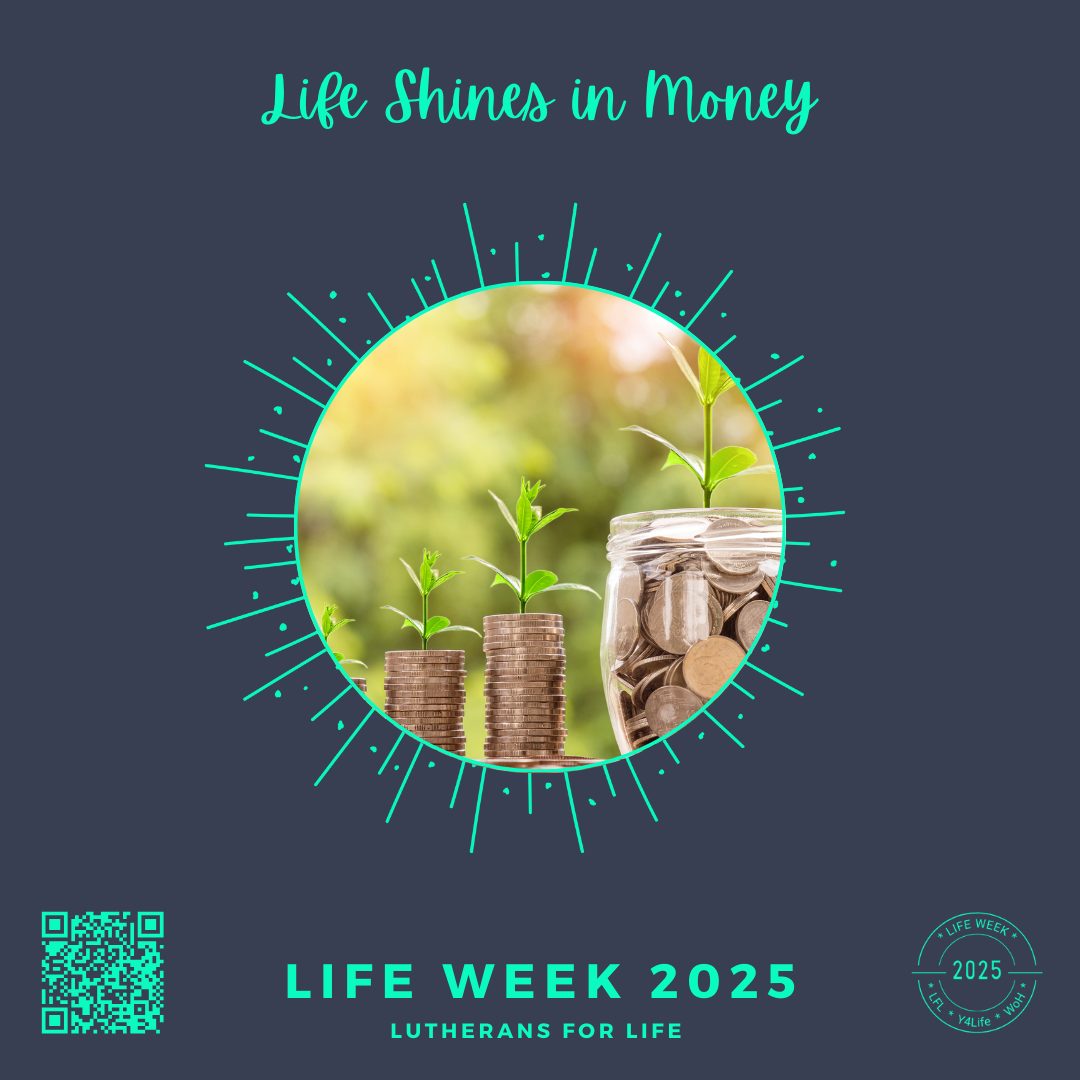 Life Week 2025 – Y4Life